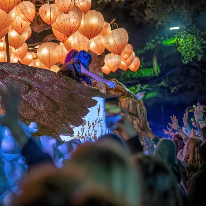 Krewe of Muses | Mardi Gras New Orleans