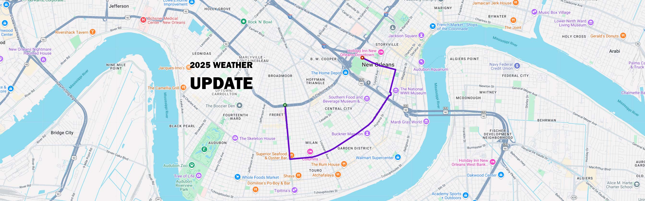 Krewe of Rex | Mardi Gras New Orleans